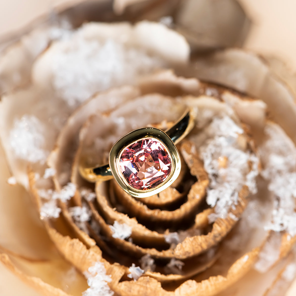 Erika Winters Laurel Cathedral Solitaire in Rose Gold | Shop Alchemy ...