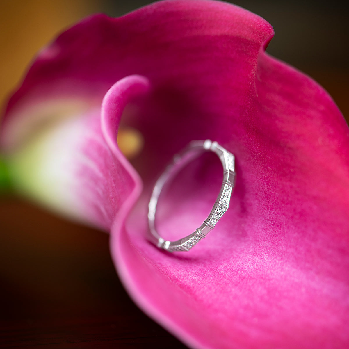 Erika Winters Imogen Band in Platinum | Shop Alchemy Jewelry Store ...